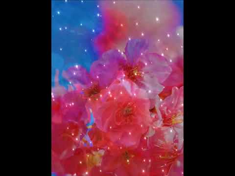 Cavit Karabey çakmak çakma ğe geldik////Aydın bektaş@youtube abone olun beğenin paylaşın