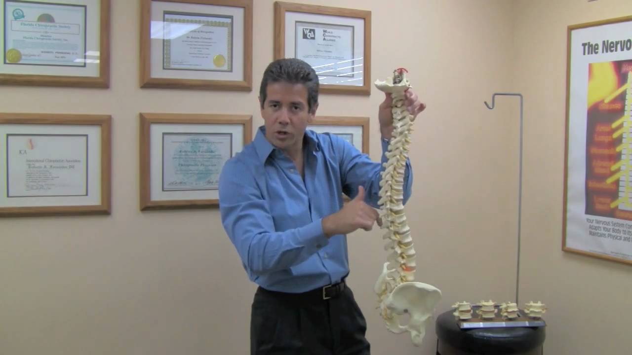 Chiropractic Miami Florida Chiropractor Robert Fernandez http://www ...
