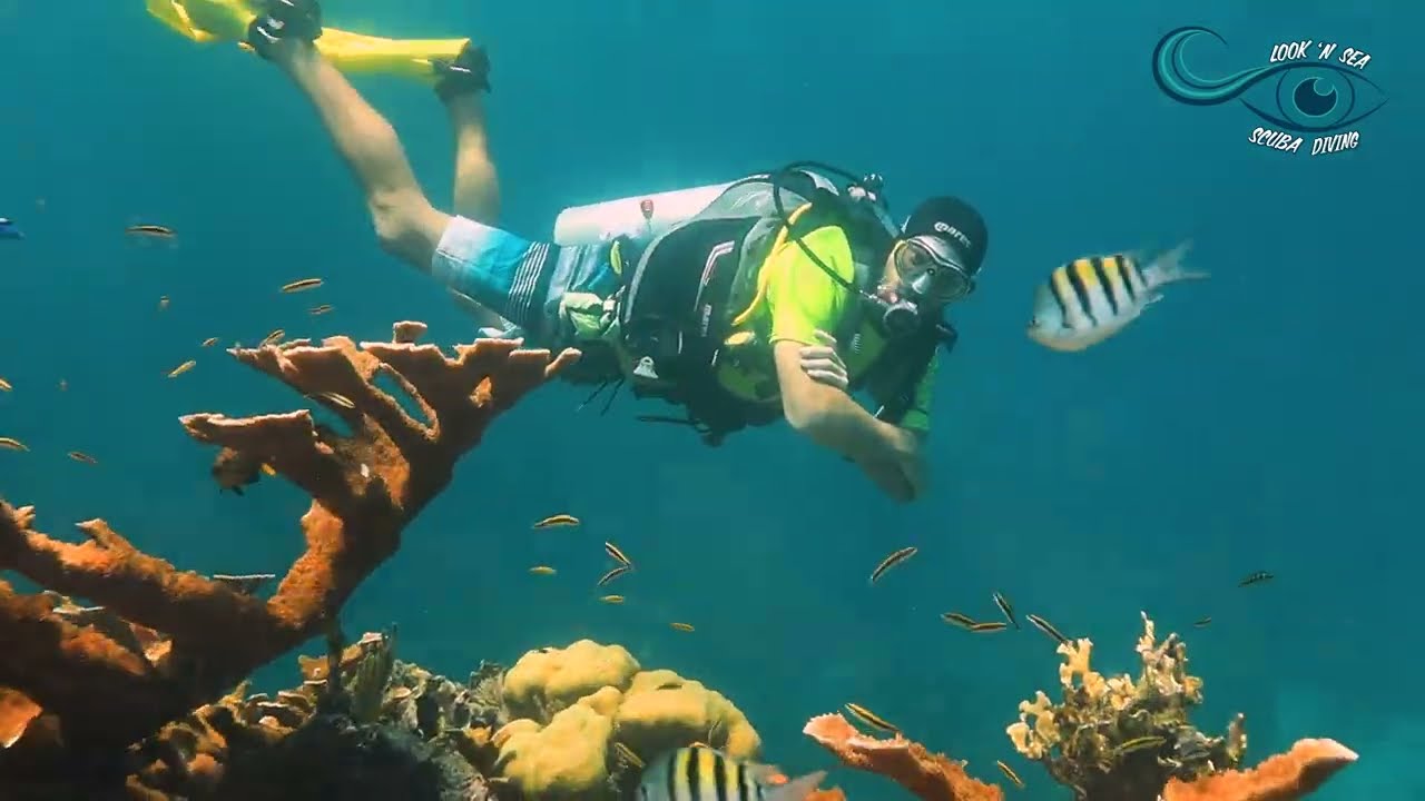 Blue Channel - Roatan Honduras 2022 - YouTube