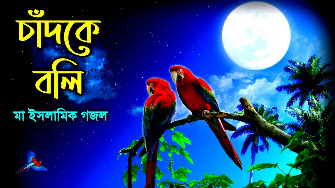 Gojol: আমি চাঁদকে বলি তুমি সুন্দর নও 😊🥰💖 - YouTube Music