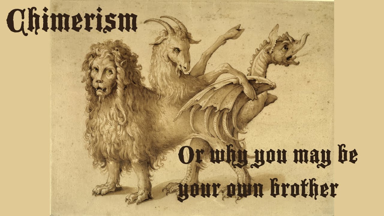 Chimerism - Or why you may be your own brother - YouTube