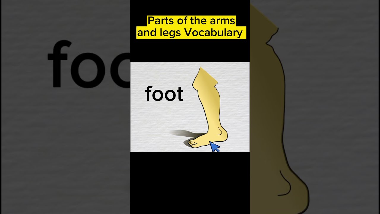 Parts Of The Arms And Legs Vocabulary shortsvideo Josievlogtv shorts Parts Of The Arms And Legs Vocabulary shortsvideo Josievlogtv shorts