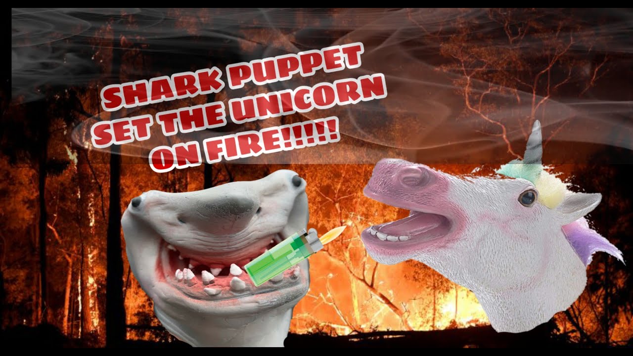 Shark Puppet Burns The Unicorn - YouTube