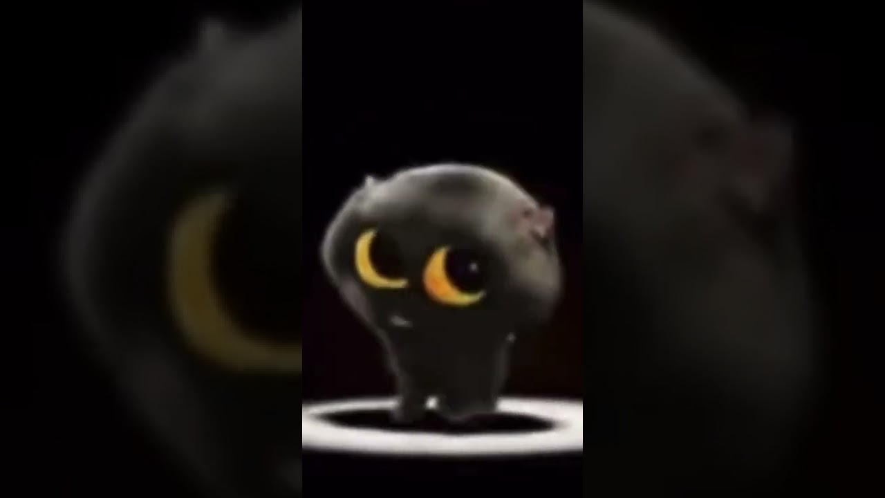 Scatman#scatman #scatmanjohn #meme #shorts #animal #cat #funny#laugh # ...