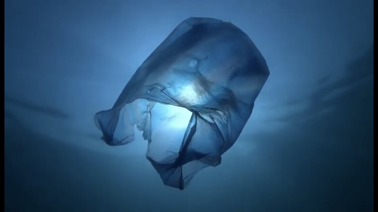 PLASTIC BUSTERS MPAs - Documentary - YouTube