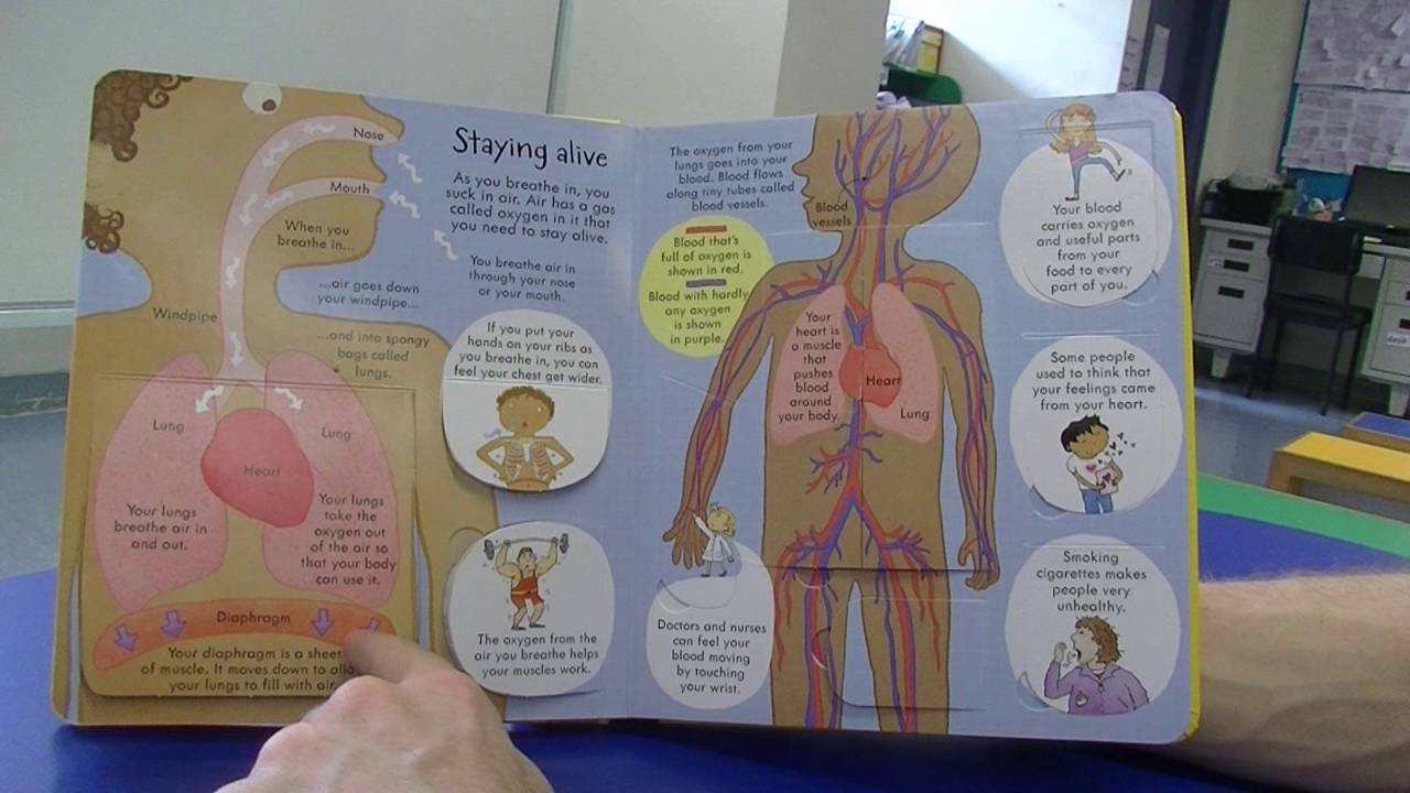 look inside your body - YouTube