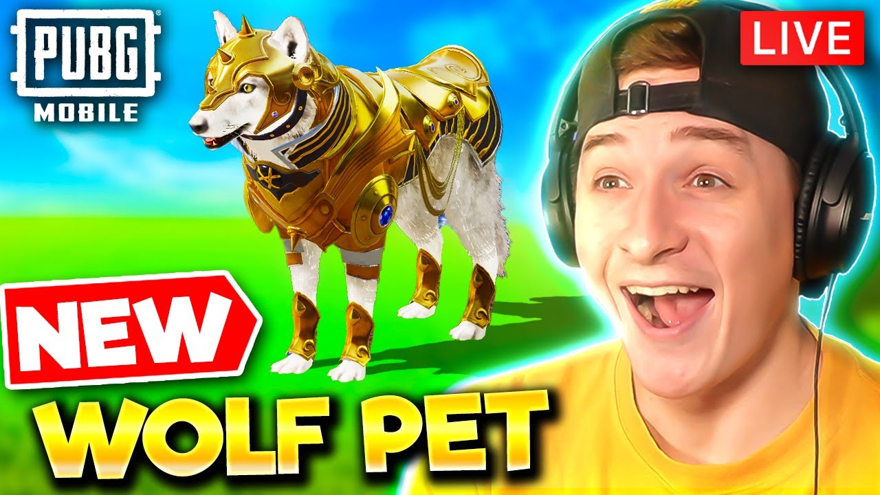 NEW WOLF PET CRATE OPENING! PUBG MOBILE LIVE - YouTube