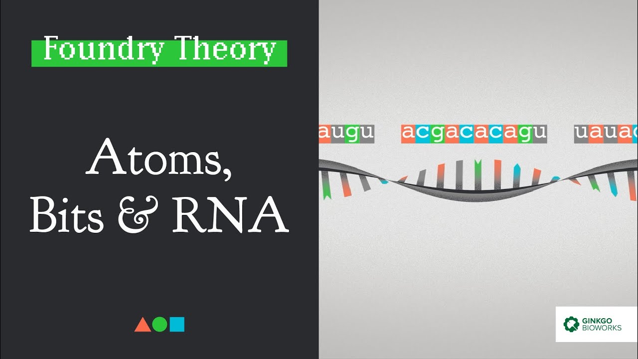 FT030 - Atoms, Bits, and RNA - YouTube