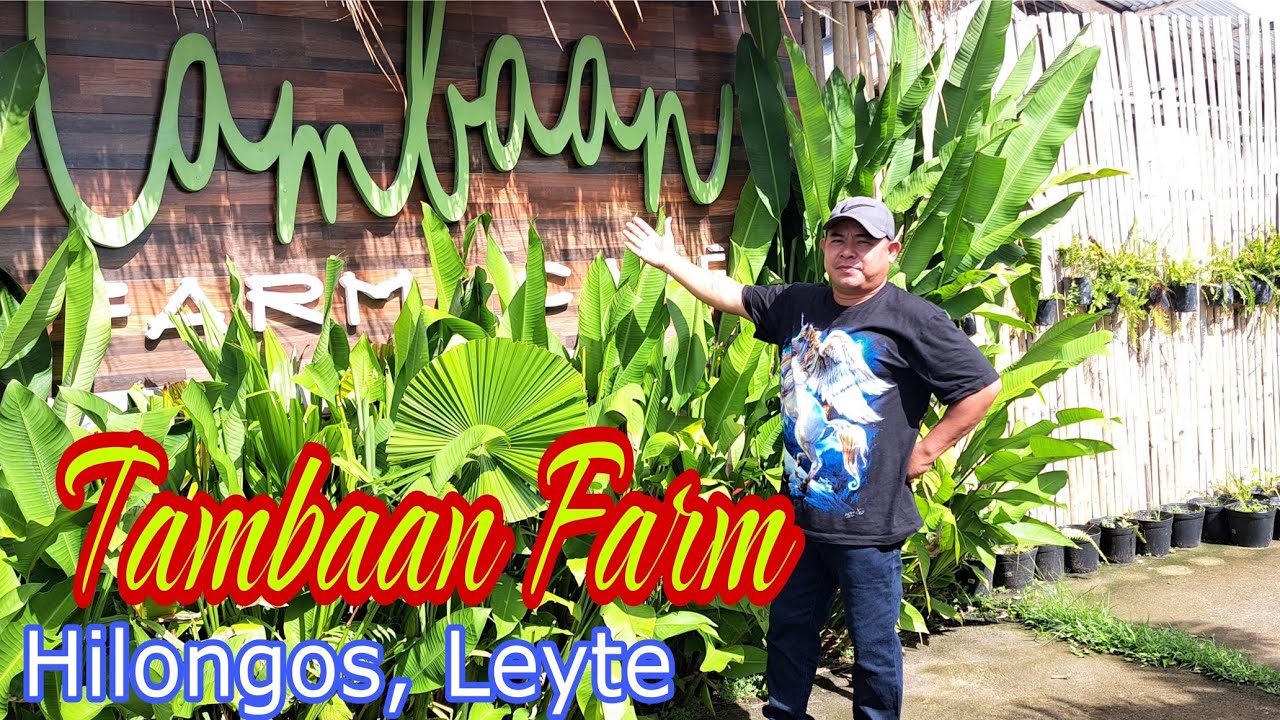 Tambaan Farm,,,,|Vedio viewing|located, Hiilongos Leyte. - YouTube