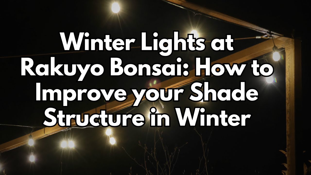 Do this to improve your shade structure - Winter Lights at RAKUYO - YouTube