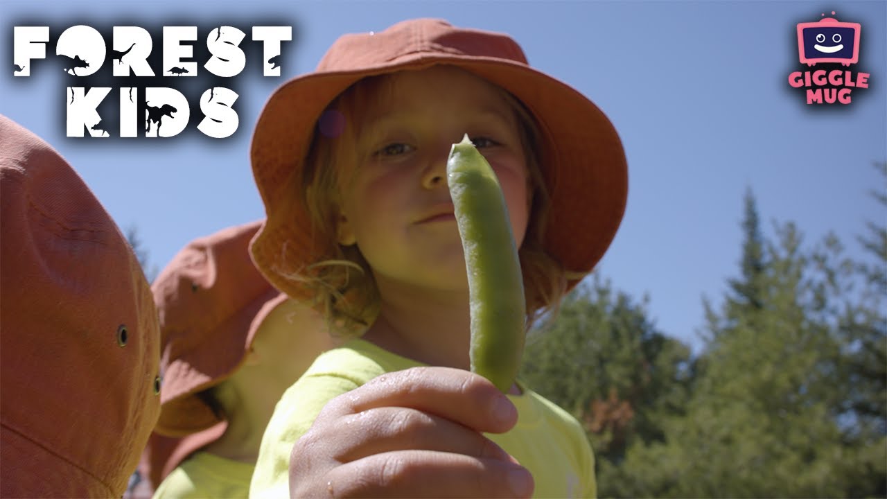 Growing Up | Forest Kids (7-Minutes of Nature & Learning for Kids ...