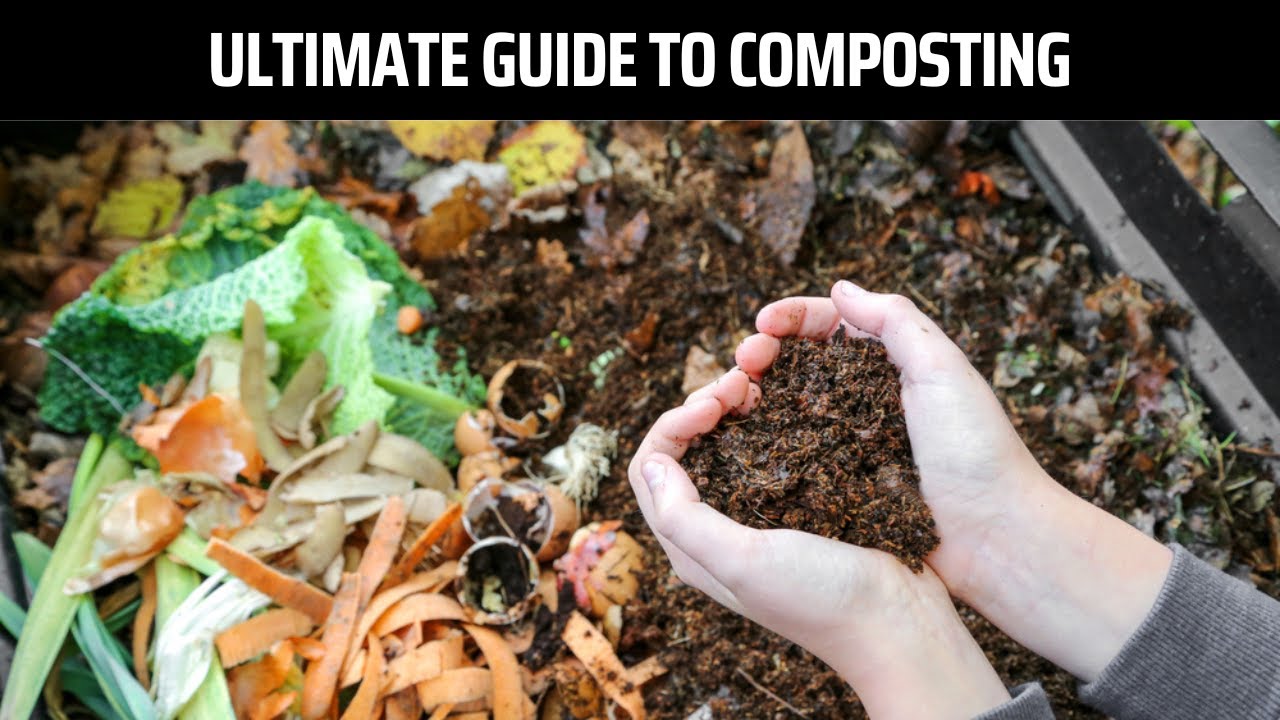 Ultimate Guide to Composting (Perfect for Beginner Gardeners) - YouTube