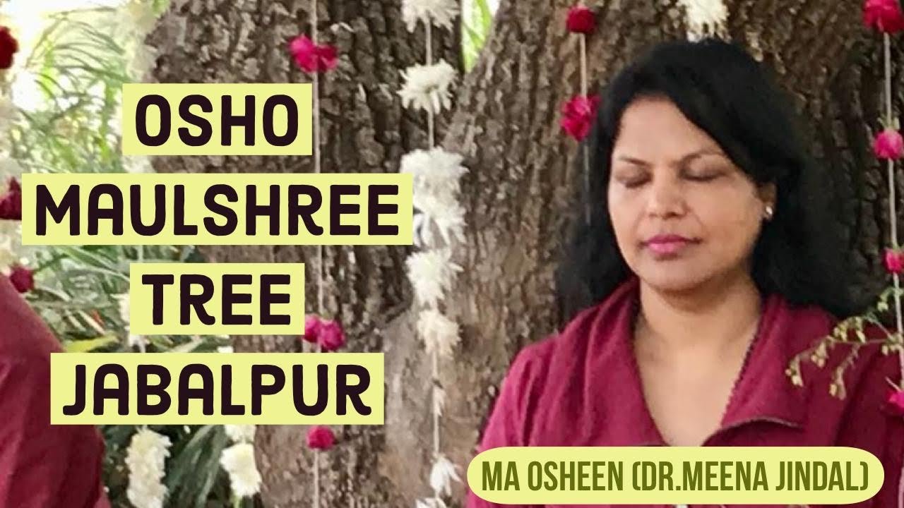 Beautiful Osho Maulshree tree, at bhavartal garden, Jabalpur, MP I Ma ...