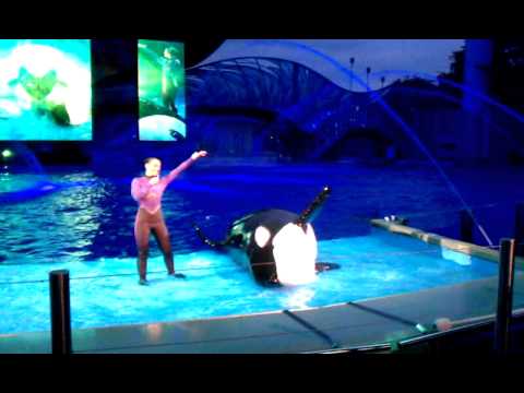 "You" Katina and Makaio Shamu Rocks - YouTube