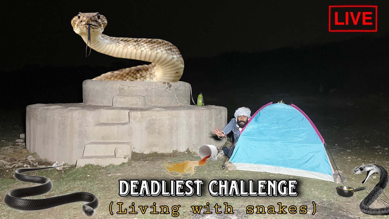 How to Survive Snake Island | These Snakes Can Kill You 100 %real - YouTube