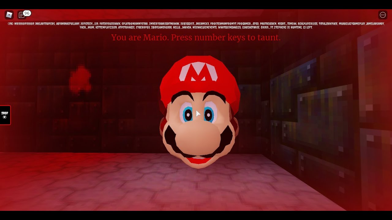 Roblox You VS Mario - YouTube