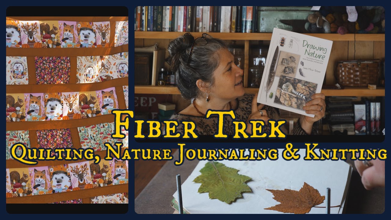 Episode 156 ~Mia Charro Quilt|Nature Journaling|Knitting & Should we do ...