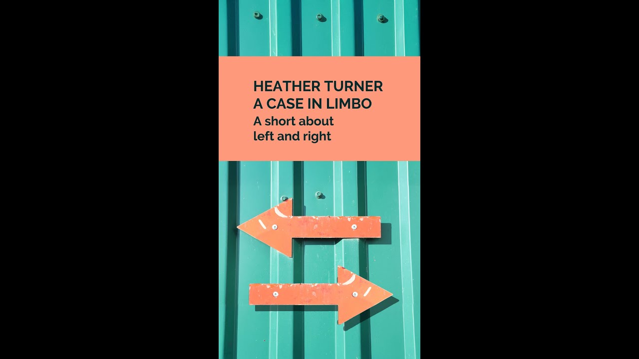 Heather Turner : A Case in Limbo - An Incident Report from Paulding ...
