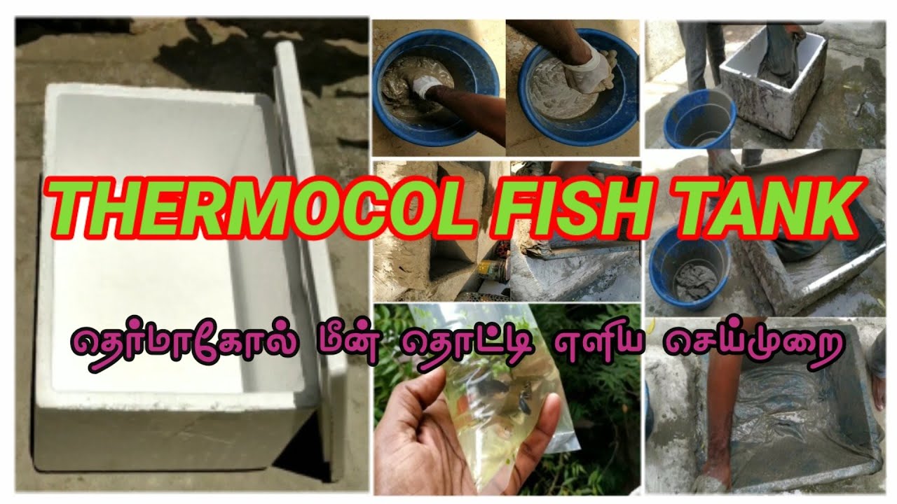 Thermocol fish tank | low cost fish tank | தெர்மோ கோல் மீன் தொட்டி ...