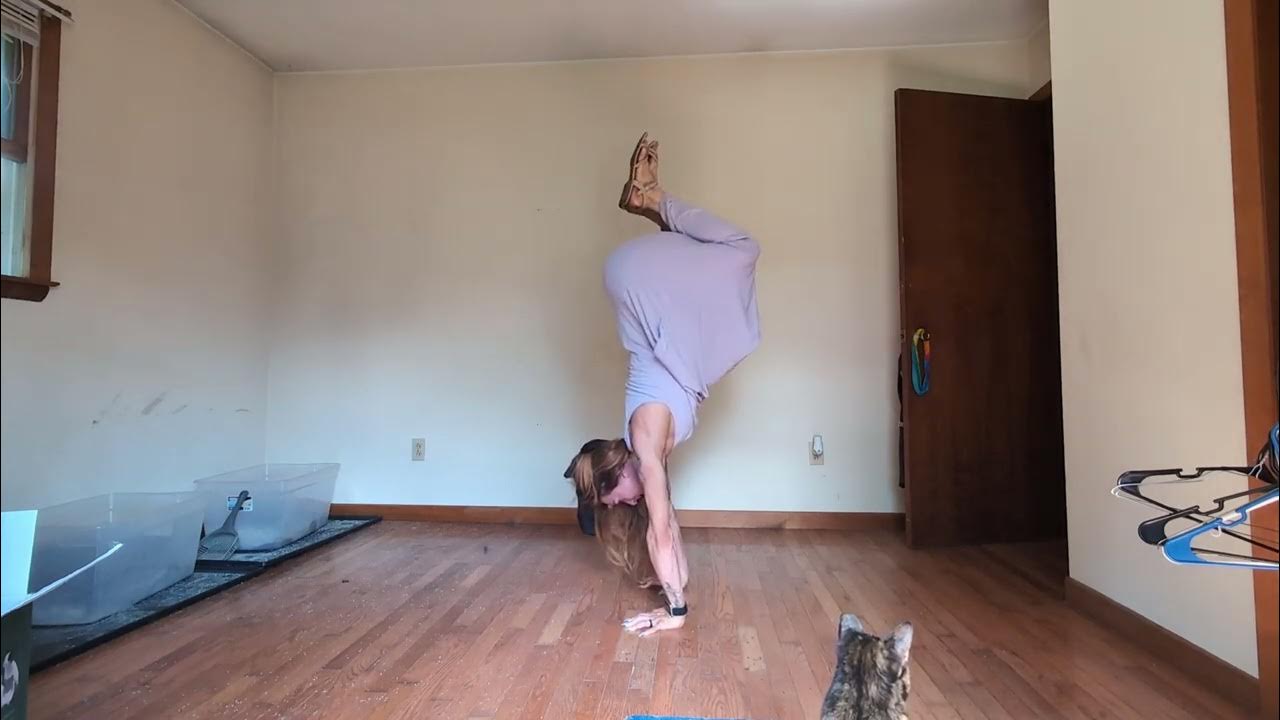 Handstand Practice Day 244/365 Round 5 - YouTube