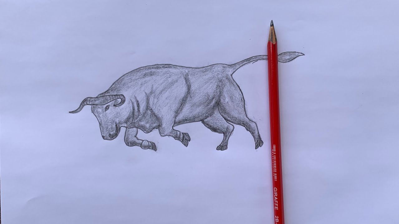Vẽ con bò rừng bằng bút chì đẹp / ox pencil drawing / Gaboy - YouTube