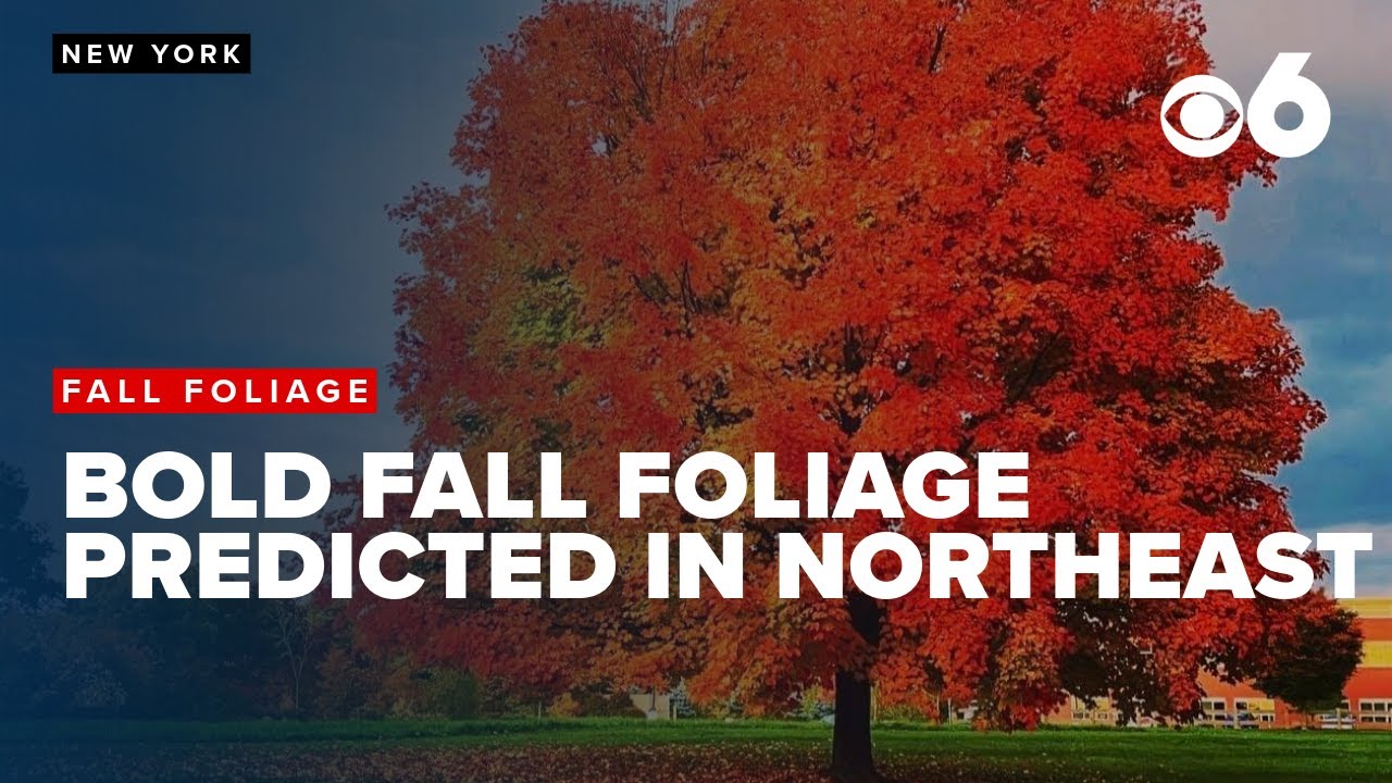 Forecast suggests bold fall color in the Northeast - YouTube