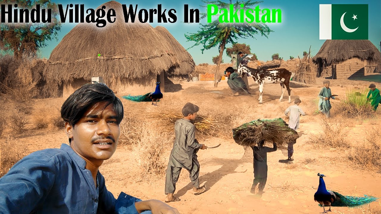 Hindu Village Life In Pakistan ||Marakh, Khip Cutting In Pakistan ...