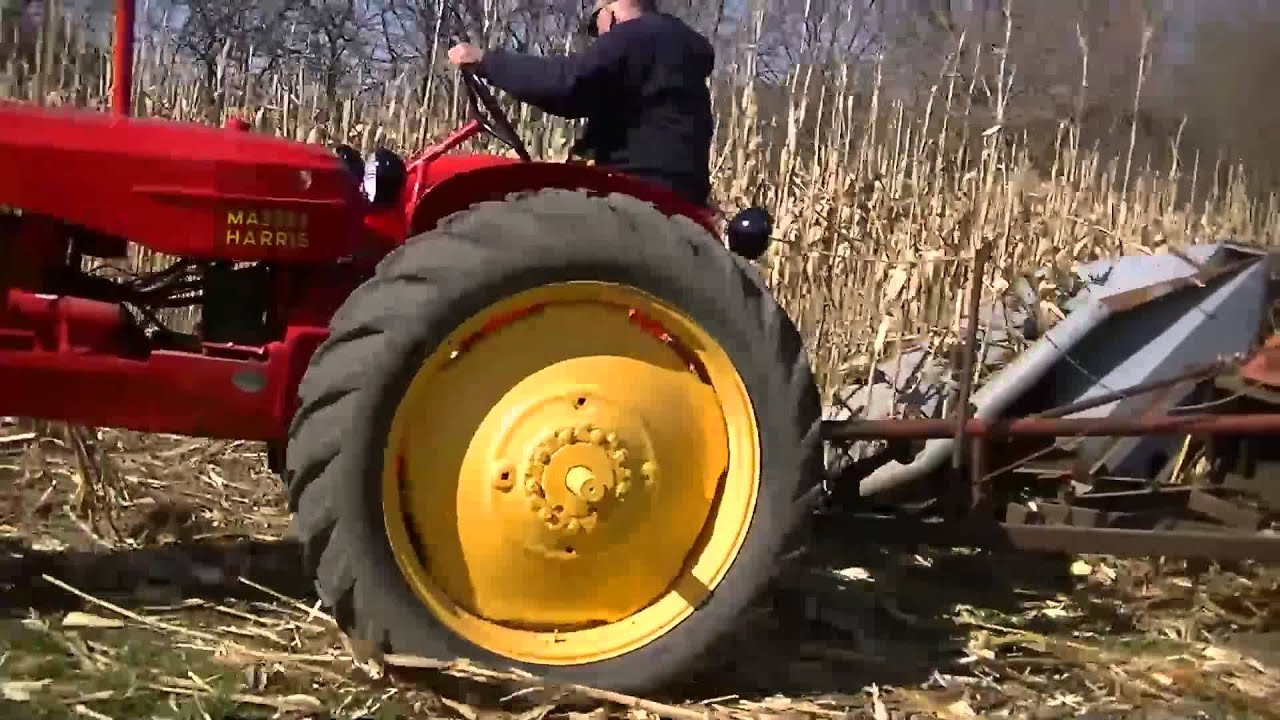Massey Harris 30 picking corn with New Idea one row ear corn picker ...
