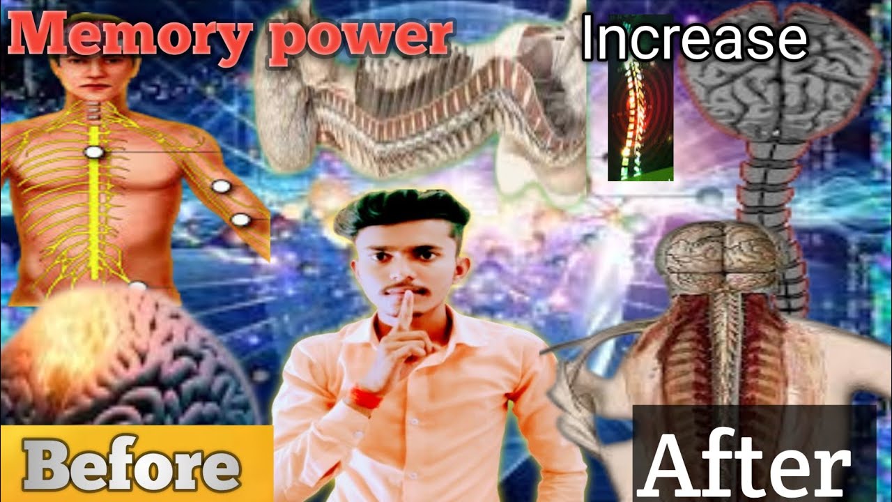 How to increase memory power (Brain 🧠) || Human Brain ||How to increase ...