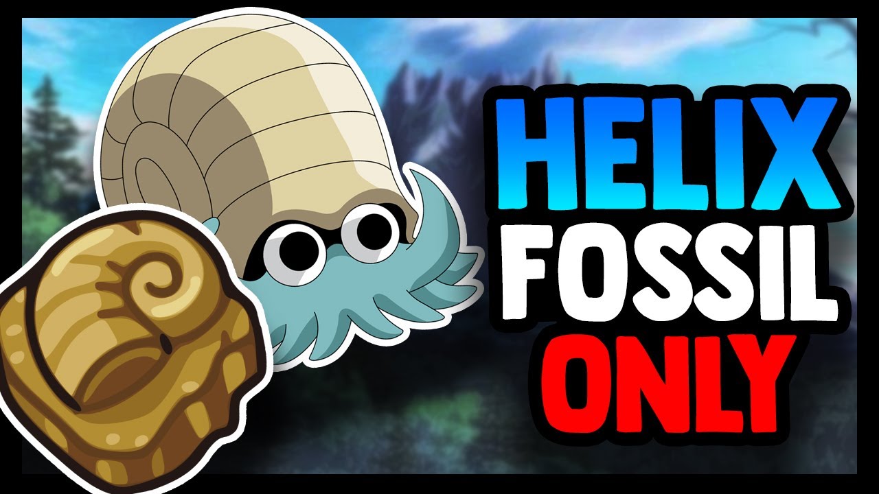 Real Helix Fossil