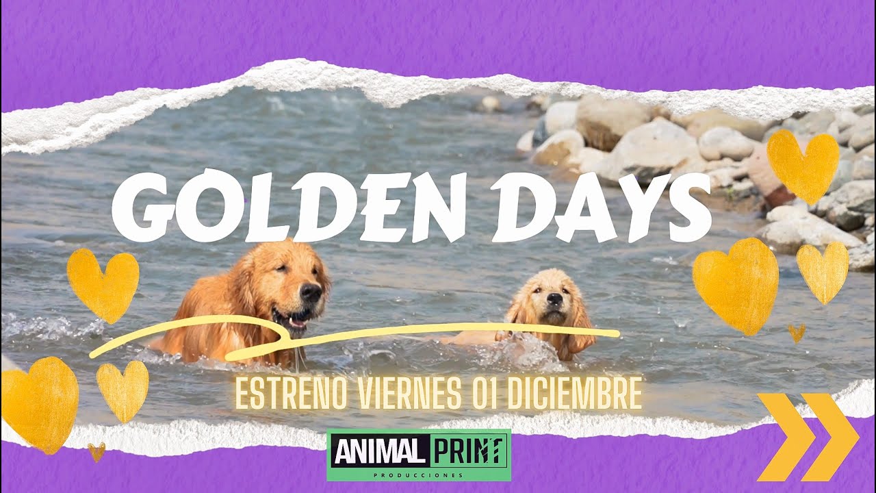 INTRO GOLDEN DAYS - ESTRENO 01 DICIEMBRE 23 - YouTube