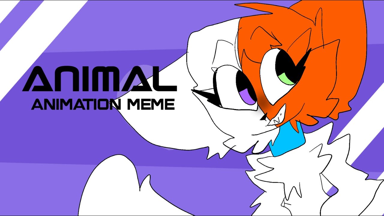 Animal animation meme - YouTube