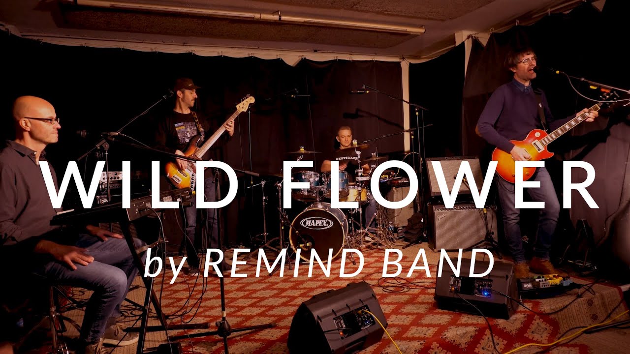 Wild Flower by Remind Band - YouTube