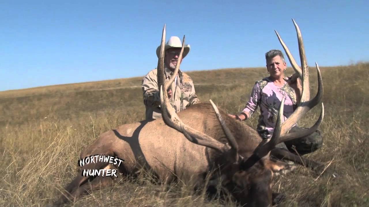 Episode 2 TEASE: Northwest Hunter: Saskatchewan Elk (2012) - YouTube