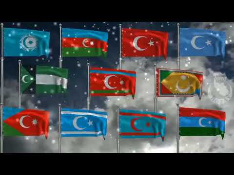 Türk bayrakları Türk Birliği yaşasın Türk dünyası