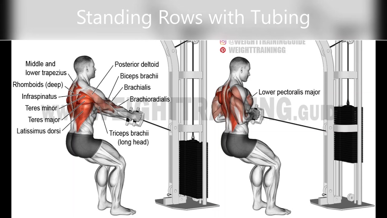 Upper back strength exercise (rowing) - YouTube
