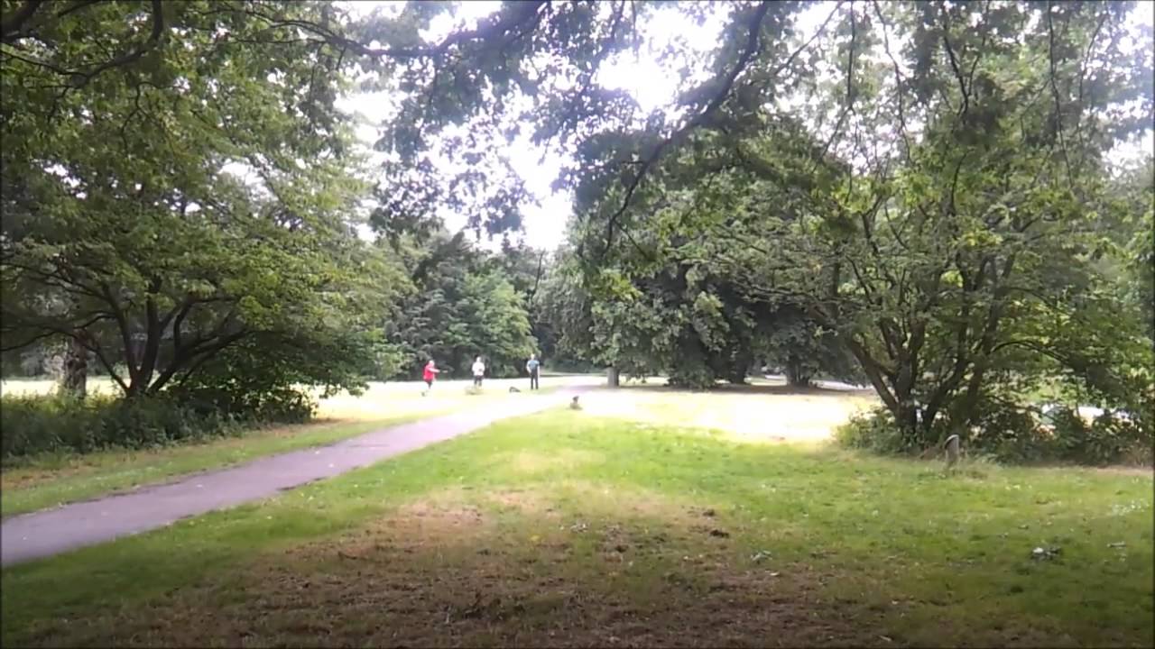disc Golf i Valbyparken - YouTube
