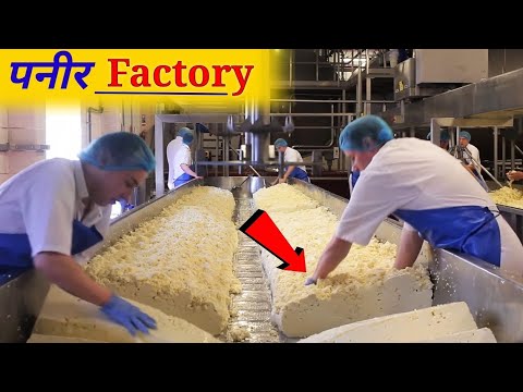 Factory me Paneer kaise Banate Hai | Cheese Manufacturing Factory - YouTube