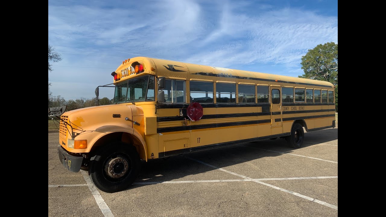 1995 International/Navistar 3800 Blue Bird 71 Passenger School Bus ...