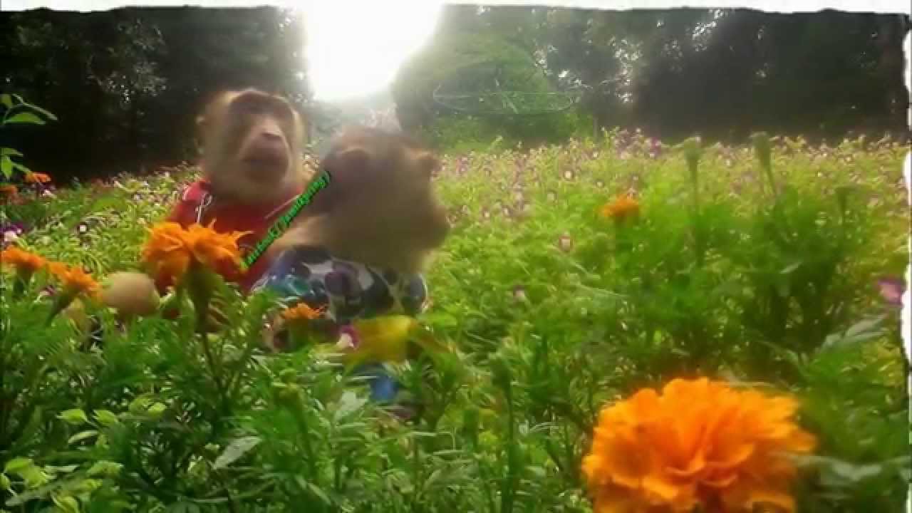 Jk and Shaki Lovely Couple - YouTube