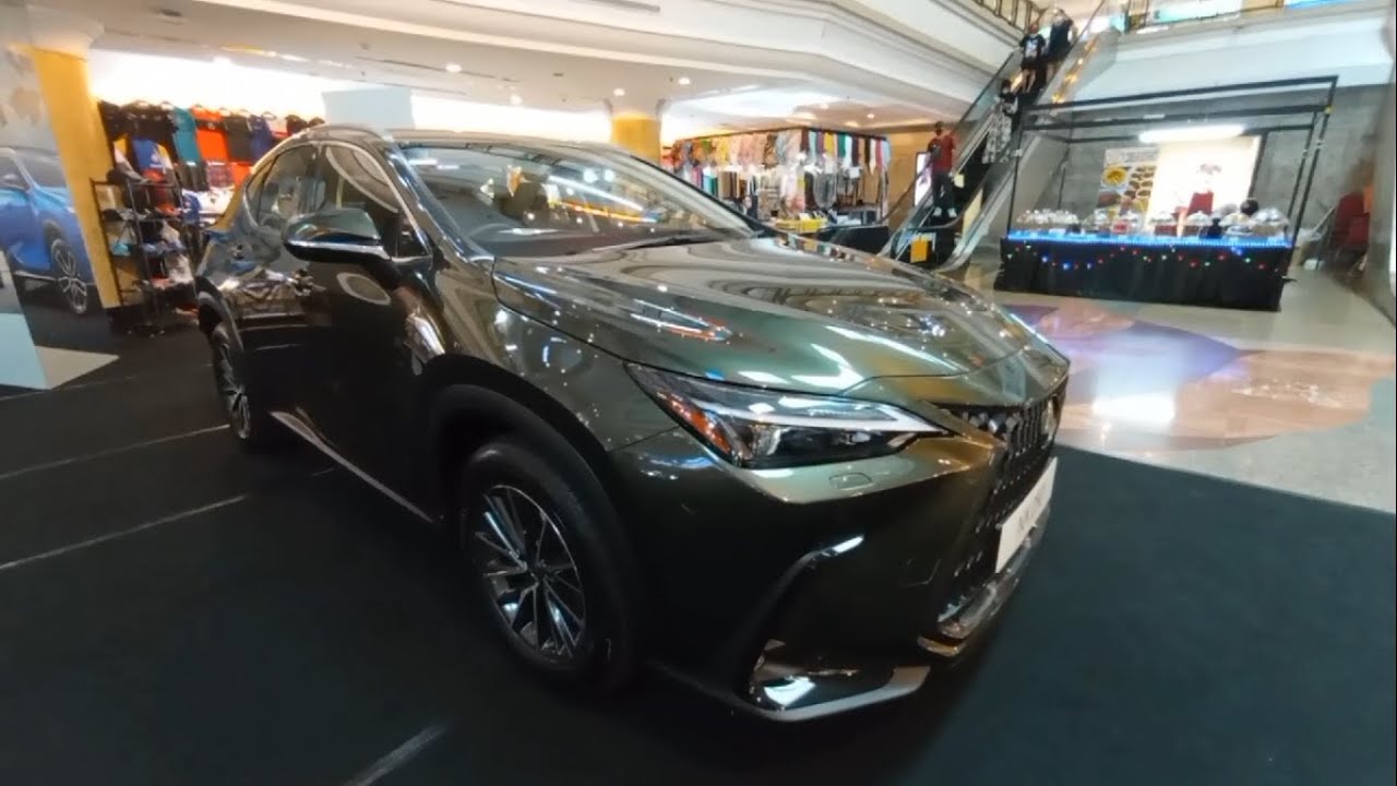 Lexus NX 250 (AZ20) 2.5 8AT Terrane Khaki walkaround exterior and ...