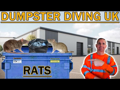 DUMPSTER DIVING UK (WATCH OUT FOR RATS) - YouTube