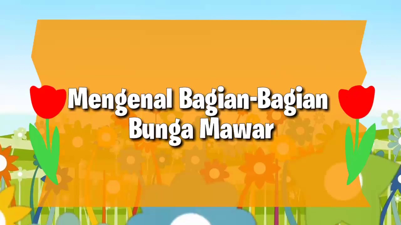 Mengenal Bagian-Bagian Bunga Mawar - YouTube