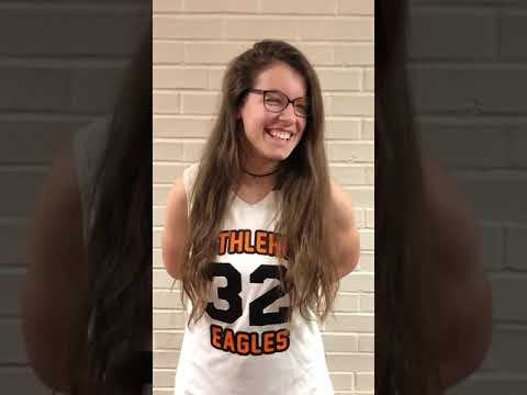Meet The Eagle - Damla Cicek