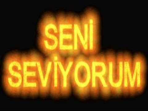 Dj Aleyna ft Dj Ates CGS - Seviyorum Deli Gibi DEMO