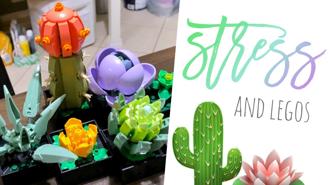 Vlog 1544 - Stress & Legos 😵‍💫🌵 - YouTube