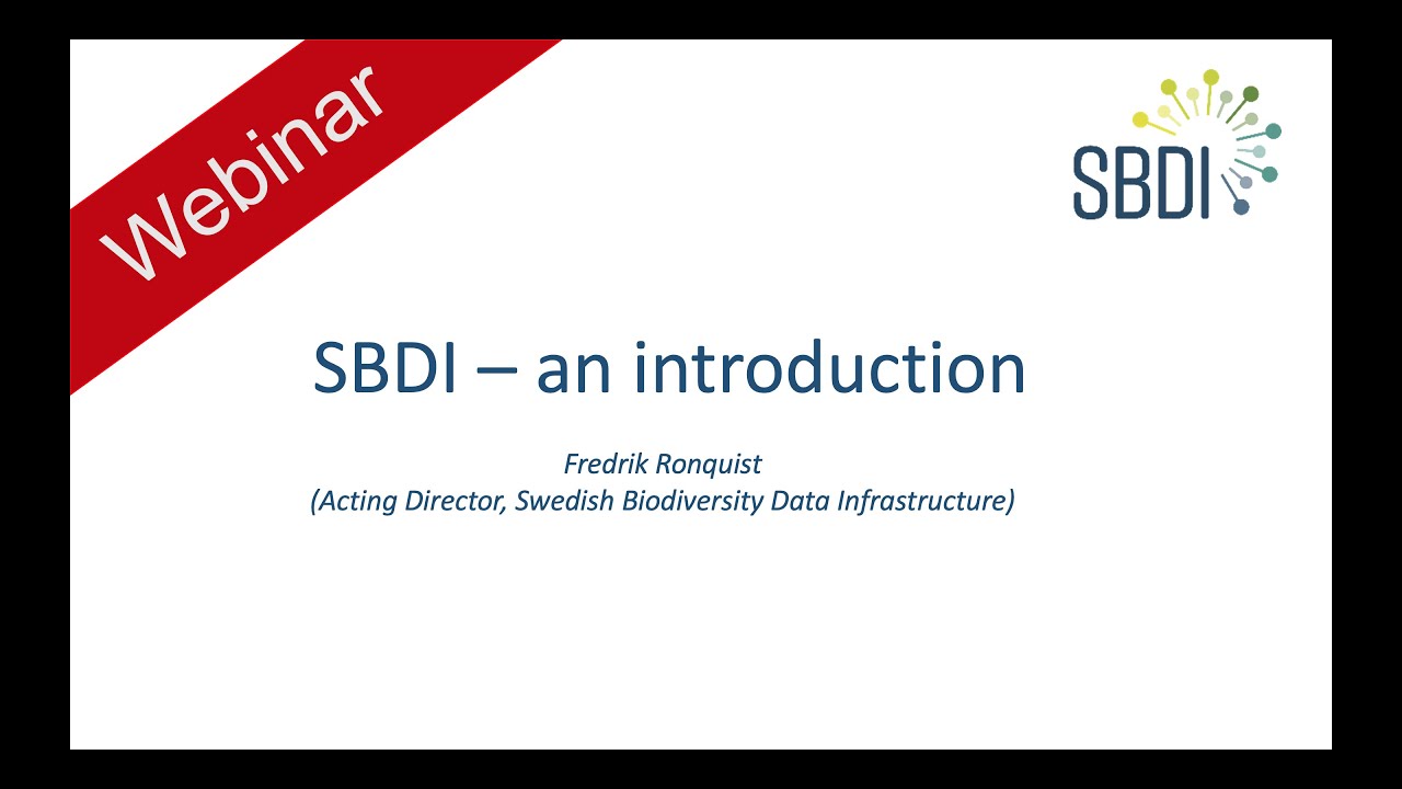 SBDI in a nutshell - YouTube