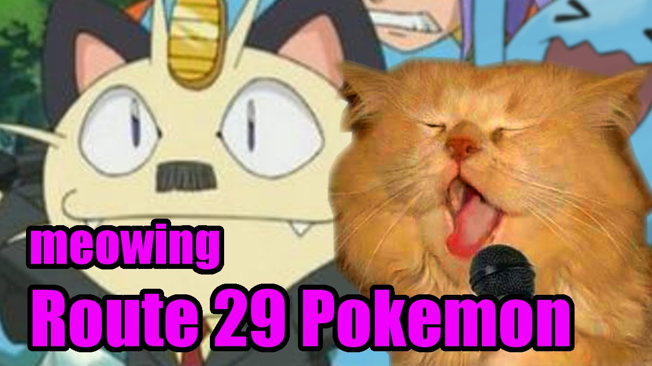 Squeal Cat singing Route 29 Pokemon - YouTube