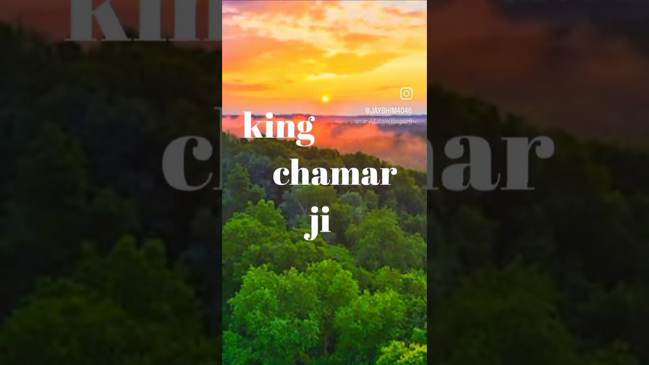 king chamar ji #king #chamar #ji #B k grateful official #shorts #viral ...