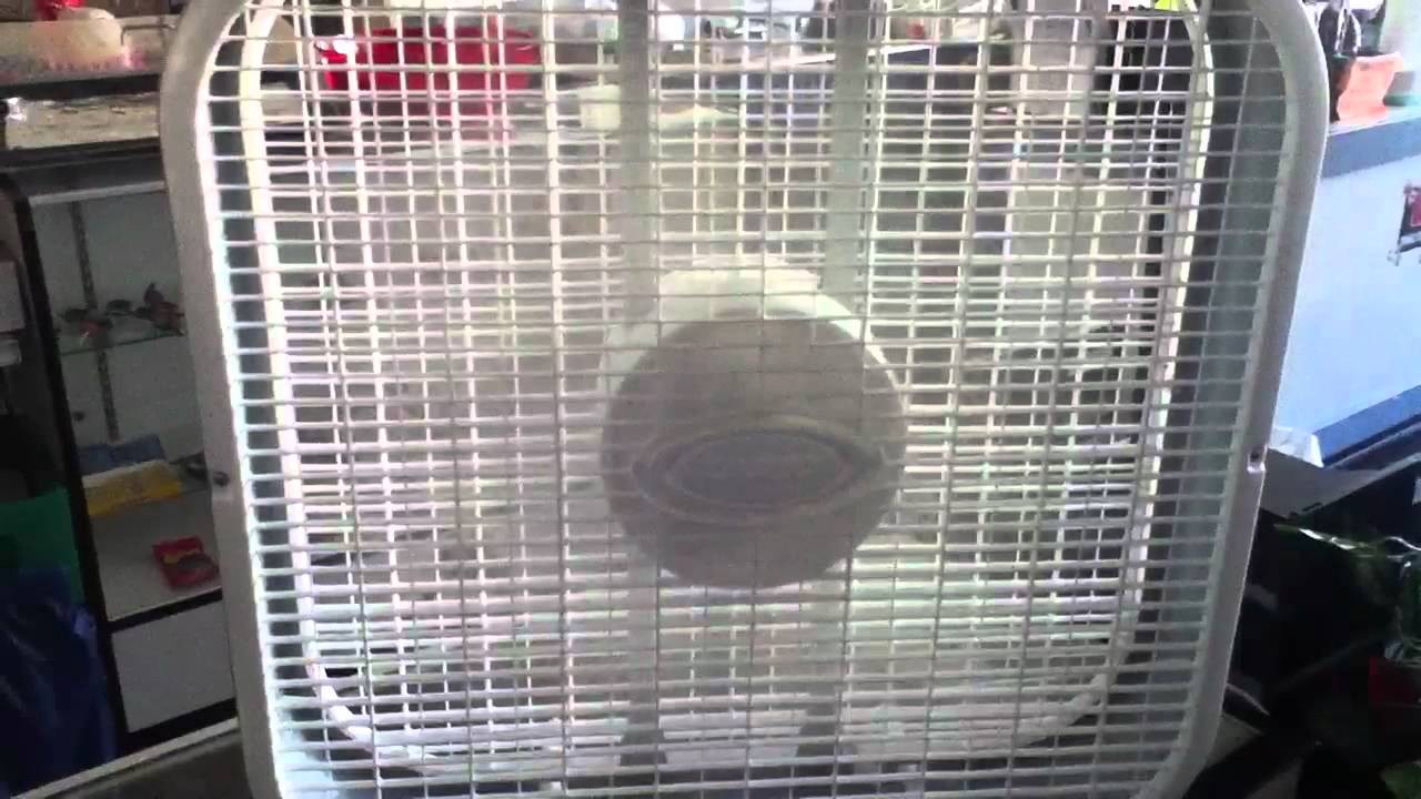 BOX FAN PART 3 - YouTube